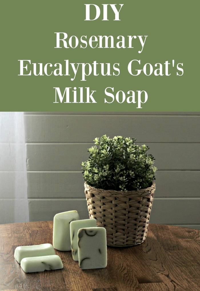 14 Eucalyptus Melt and Pour Soap Recipes