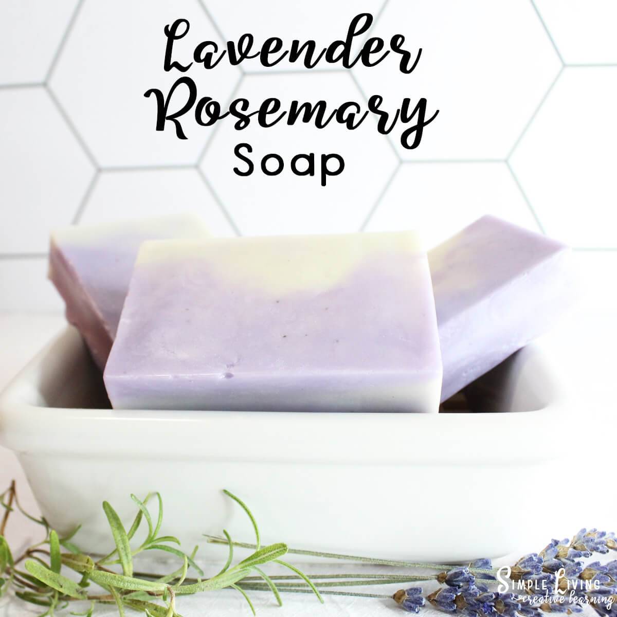 12 Rosemary Essential Oil Melt and Pour Soap Recipes